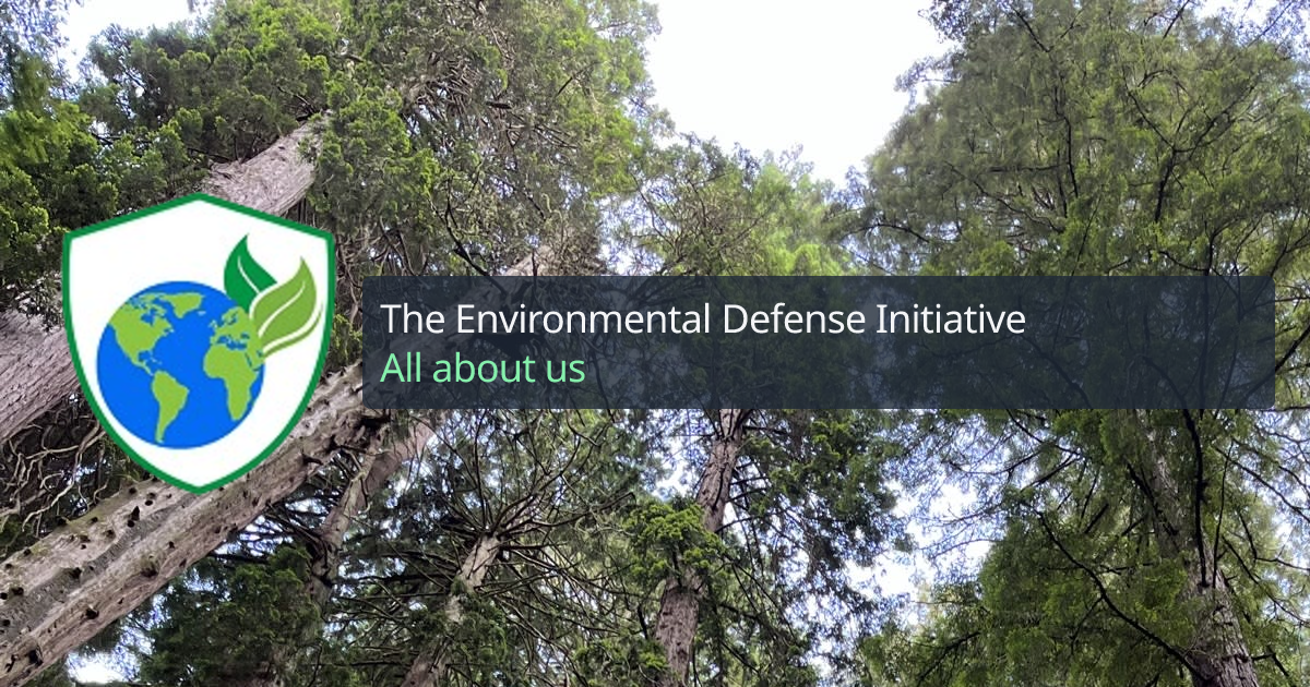 About | TEDI - The Environmental Defense Initiative