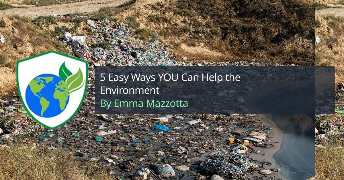5 Easy Ways YOU Can Help the Environment | TEDI Blog - The ...