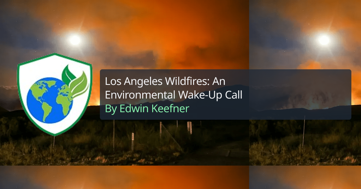 Los Angeles Wildfires: An Environmental Wake-Up Call | TEDI Blog - The ...