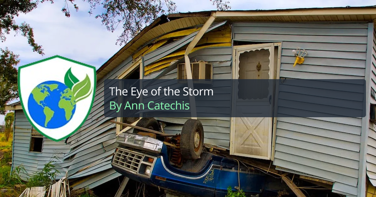 The Eye of the Storm | TEDI Blog - The Environmental Defense Initiative