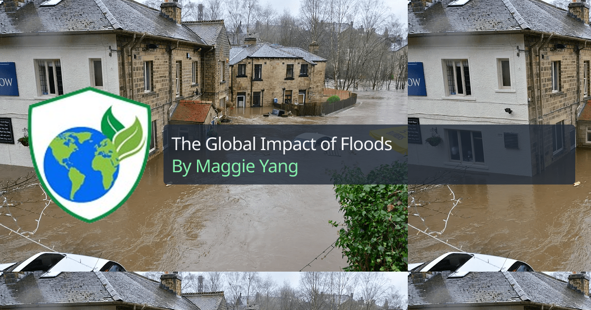 The Global Impact of Floods | TEDI Blog - The Environmental Defense ...