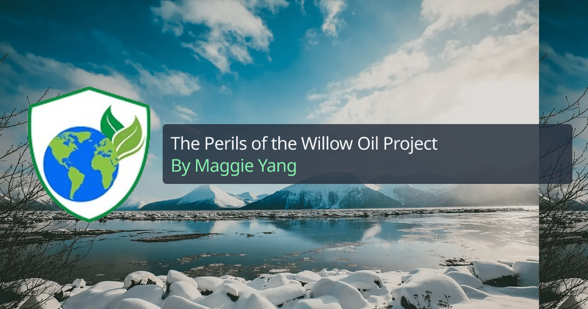 The Perils of the Willow Oil Project | TEDI Blog - The Environmental ...