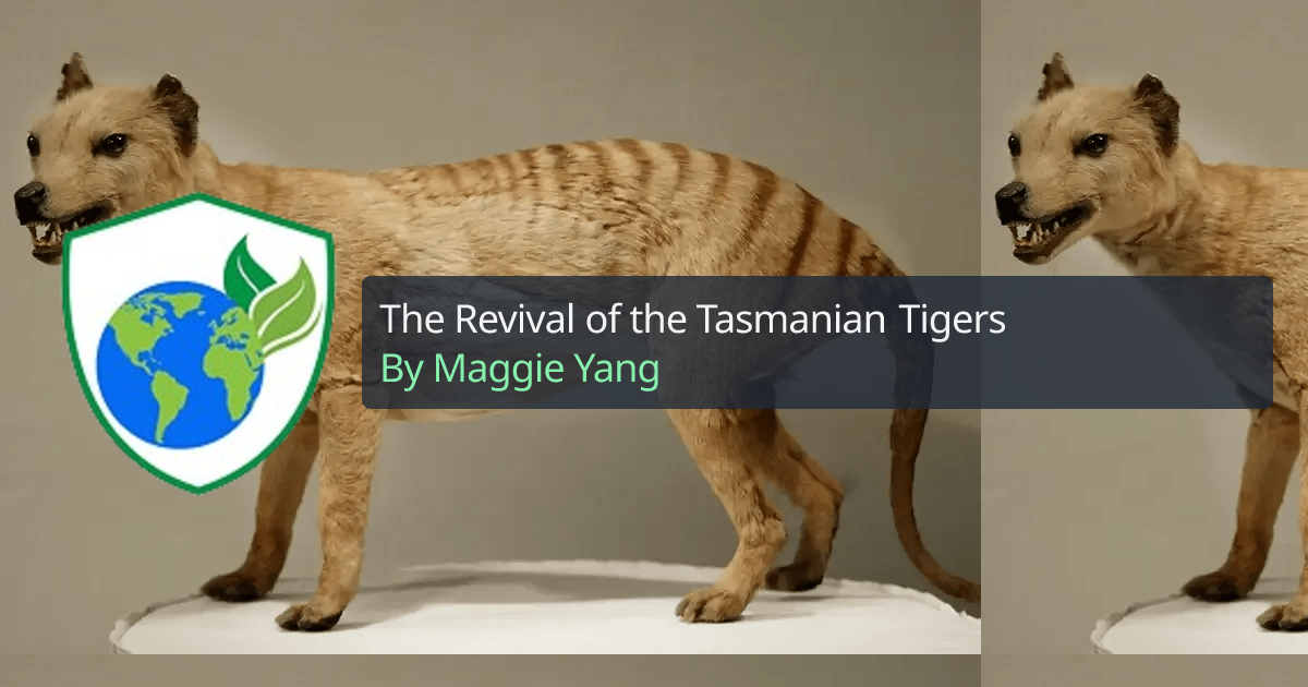 The Revival of the Tasmanian Tigers | TEDI Blog - The Environmental ...